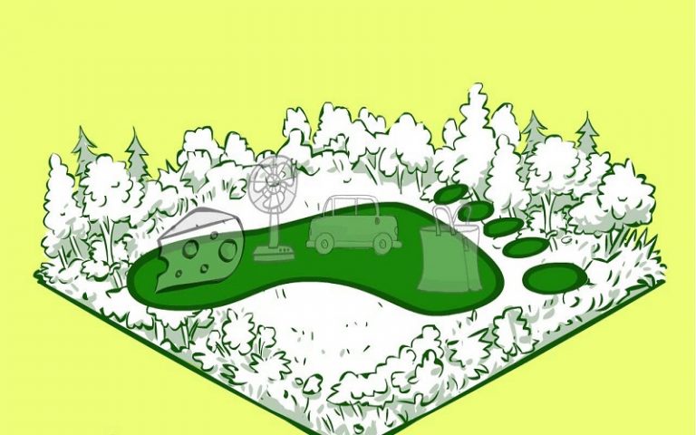 Ecological footprint test: Do you know what is the environmental impact ...